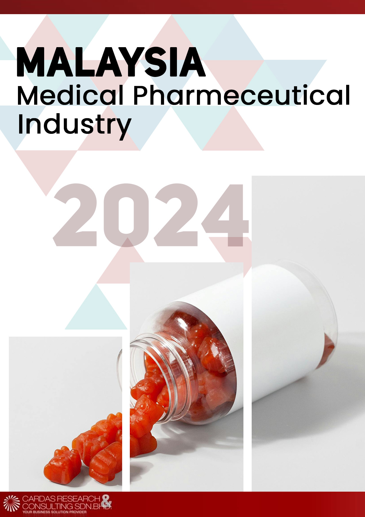 Malaysia Pharmaceutical Industry 2024 - Cardas Research & Consulting Group
